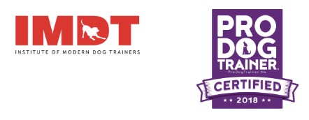 Fun Games Based Puppy and Adult Dog Training in Epsom & Ewell Surrey