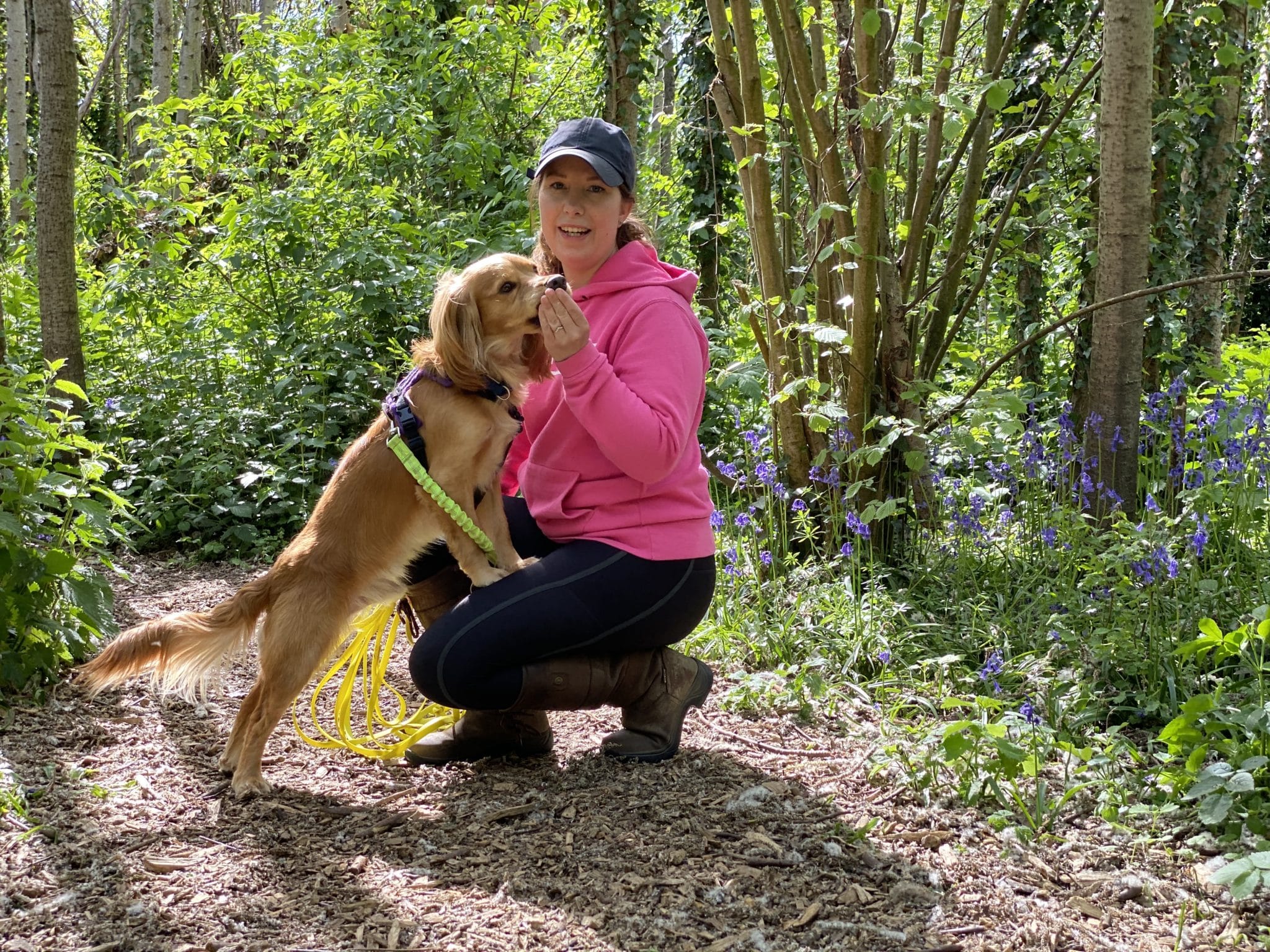 Get in touch - Horton Dogs