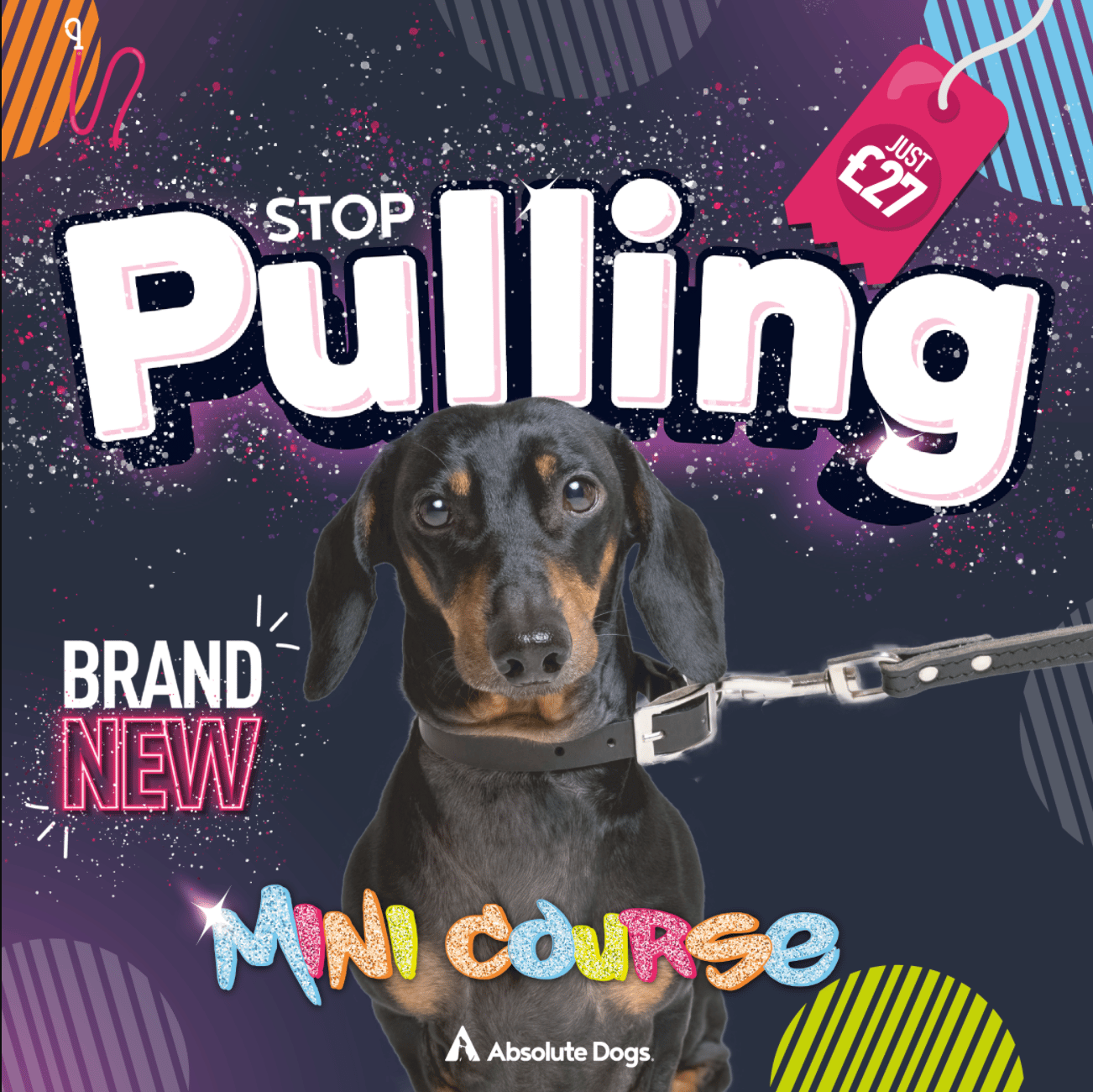 Stop Pulling Mini Course - Horton Dogs