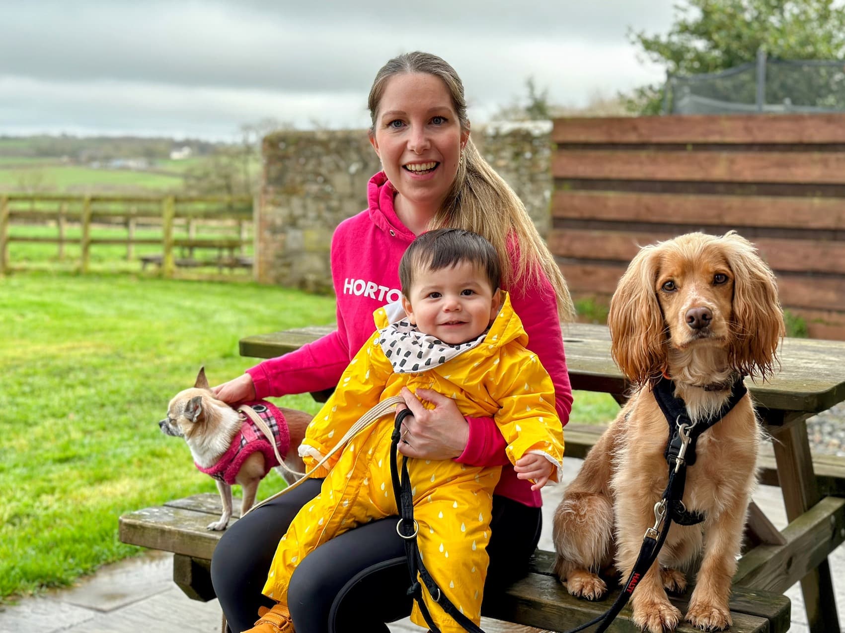 Horton Dogs is a Dog Training Company Based in Epsom & Ewell